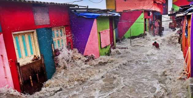 2019 Environmental Photographer of the Year images reveal the ‘raw ...