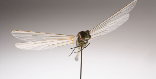 UAV: On the wings of an insect – DSTO MAV research | ADM May 2014 ...