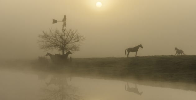 Image Doctor: Watch that ISO! - Australian Photography