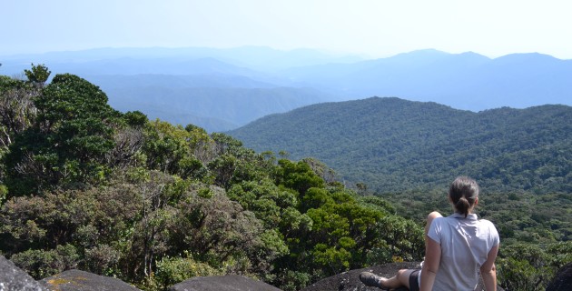 Scaling Qld's highest peak is all worth the effort - Great Walks