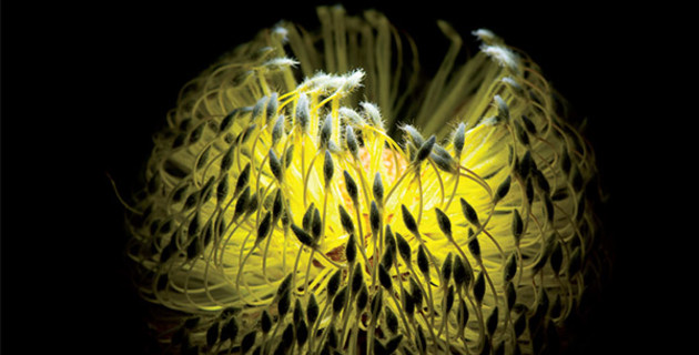 Photo Tip of the Week: Shoot Great Images With a Single Light Source ...