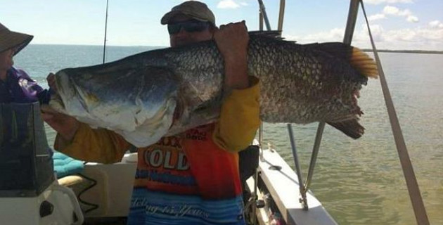 Huge barra washes up off NT - Fishing World