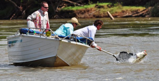 Barra Nationals break metre-plus record - Fishing World