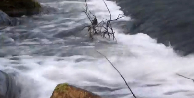 VIDEO: South Coast bass migration - Fishing World