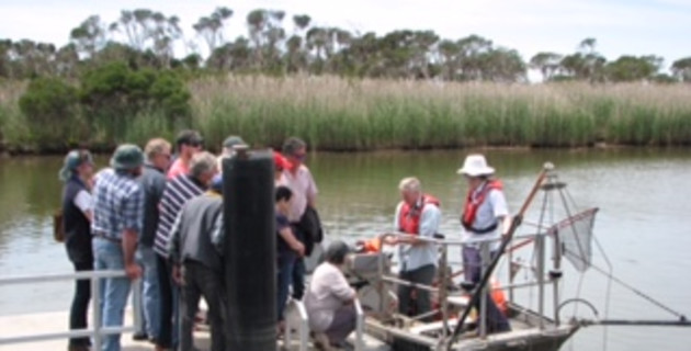 Fish and fish habitat unmasked at Tarwin River estuary event - Fishing ...