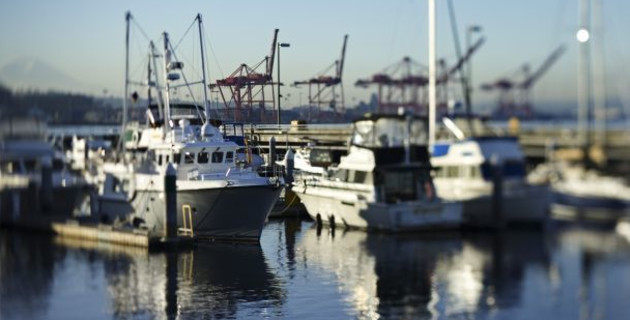 EXCLUSIVE: Kelly steps in to reduce gamefish slaughter - Fishing World