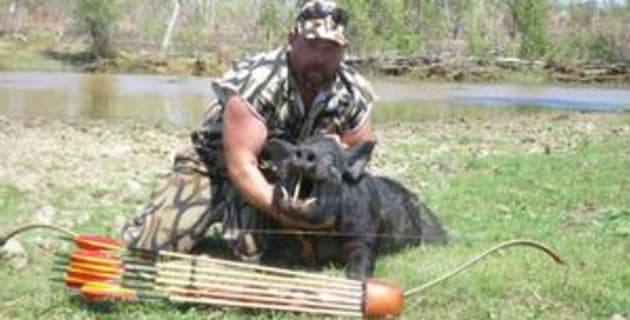 Bows & Boars - Sporting Shooter
