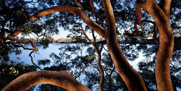 Peter Solness: Shooting in the Dark - Australian Photography