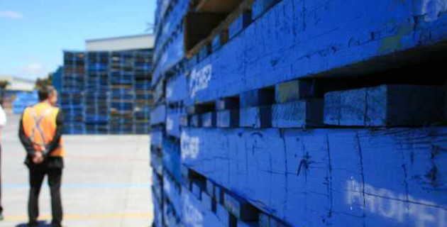 Pallet index predicts steady growth - PKN Packaging News