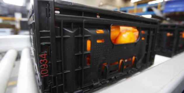 Switch back to crates bears fruit - PKN Packaging News