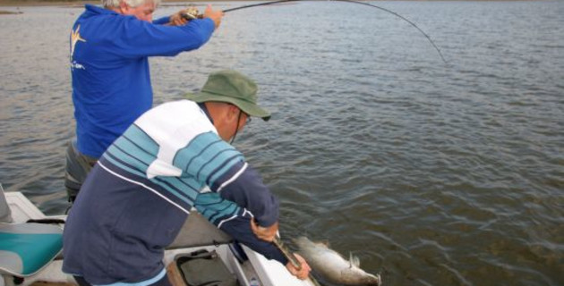 Callide fish stocks get a boost - Fishing World