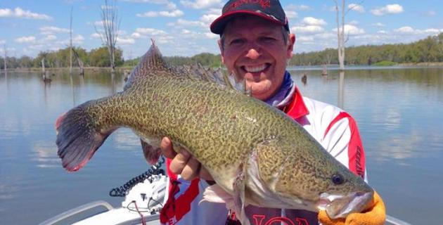 Murray cod fishing season opens on December 1 - Fishing World
