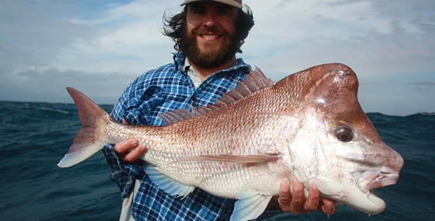 Snapper fans descend on Coffs - Fishing World