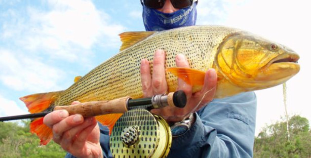 Postcard from Argentina - Fishing World