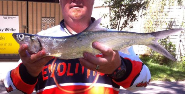 The "weird catches" continue.... - Fishing World