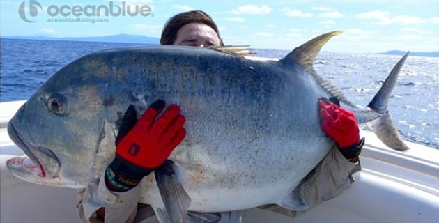 Sydney fisho lands a giant - Fishing World