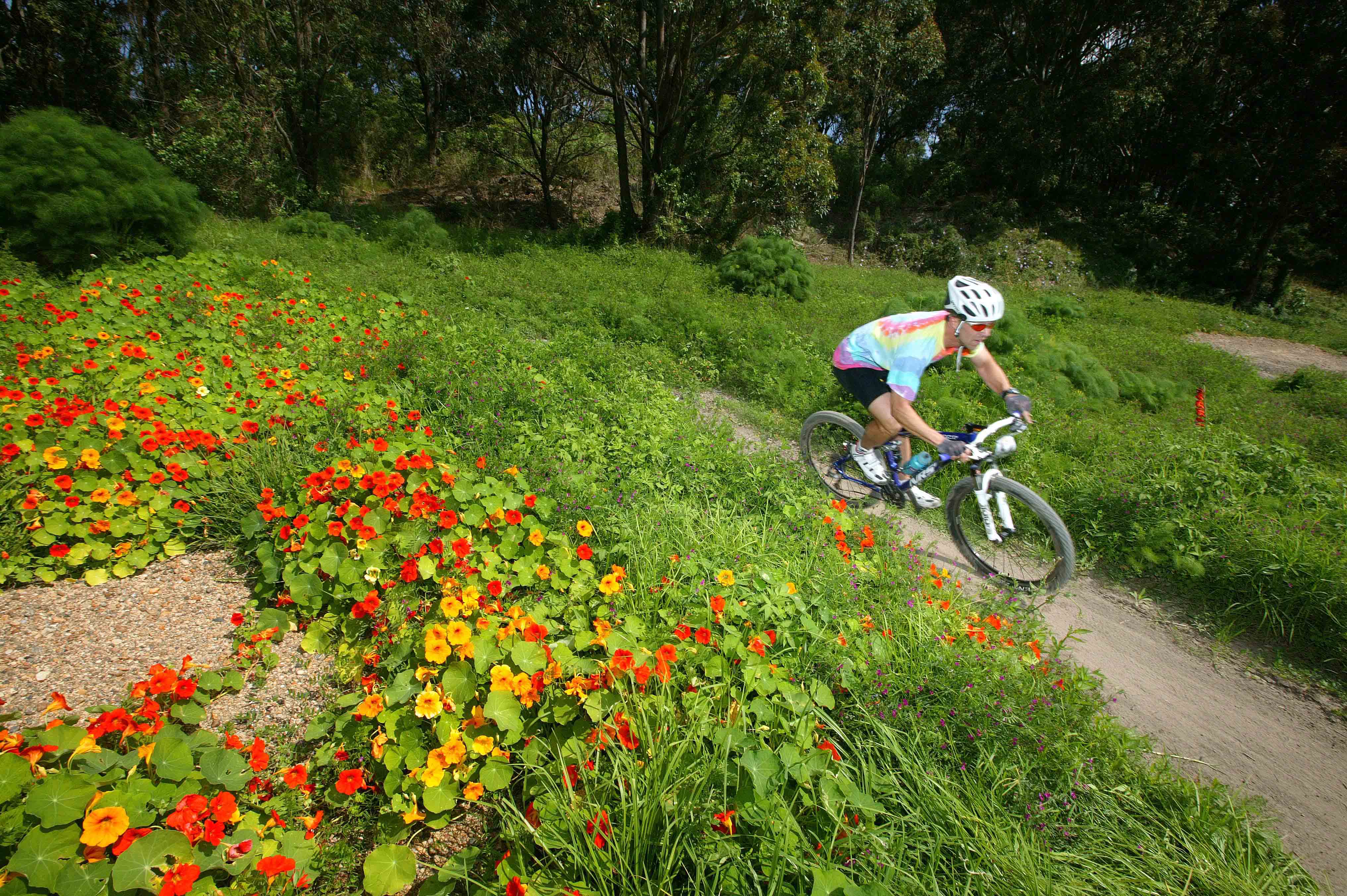 Fresh Events & Venues for Rocky Trail Racers! - Mountain Biking ...