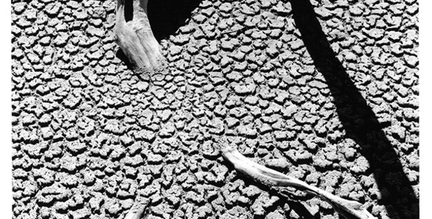John Cato Retrospective at BIFB 2013 - Australian Photography