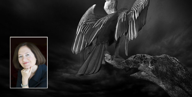 Jackie Dean Wins Top Prize at International Awards - Australian Photography