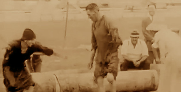 Lumberjacks Log Rolling - Australian Wood Review