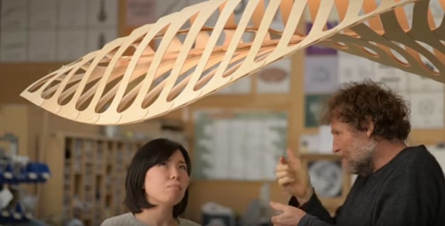 Diatom to Design - Australian Wood Review