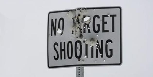 When is shooting a target not target shooting - The Loose Cannon ...