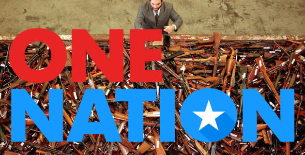 One Nations 2017 Firearm and Gun Control Policy Released - Sporting Shooter