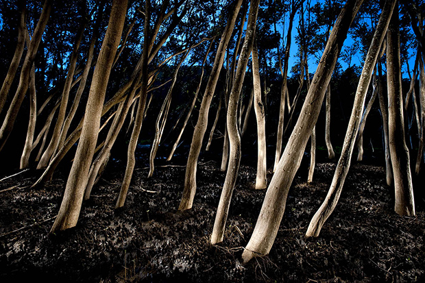 Photo tip: How to paint with light - Australian Photography