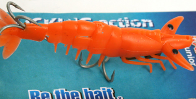 What a star - Fishing World