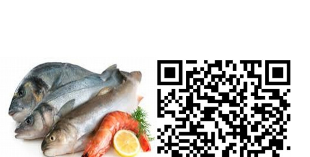 Seafood more transparent with QR codes - Food & Drink Business