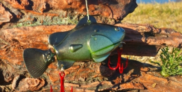 VIDEO: Robotic lure - Fishing World