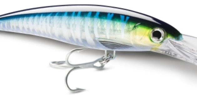 Rapala X-Rap Magnum 40 - Fishing World