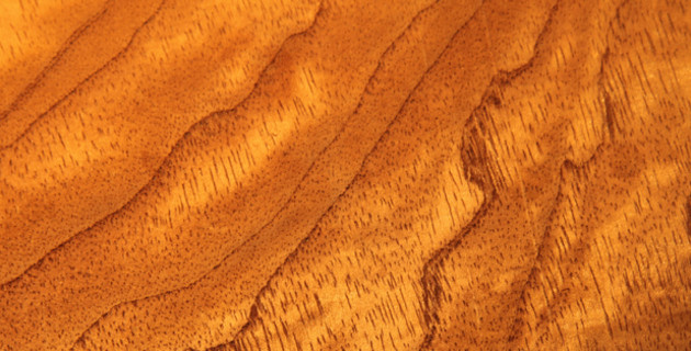 Against the Grain - Australian Wood Review