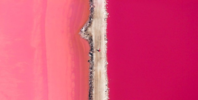 Is Facebook dead? And how to boost your following. - Capture magazine