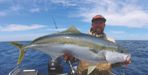 Kingfish of Victoria - Fishing World
