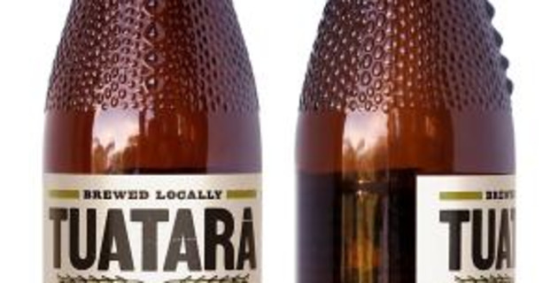 Lizard lager's cartons win packaging plaudits - PKN Packaging News