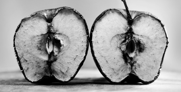 April 'Decay' Photo Comp Winner Announced - Australian Photography