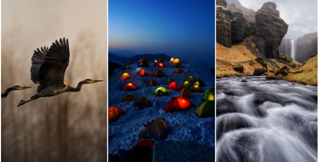 25 finalists from the world's biggest photo competition - Australian ...