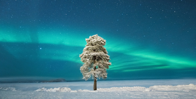 The winners of the 2020 Astronomy Photographer of the Year Awards ...