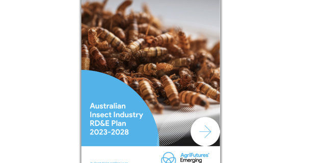 AgriFutures guide to boost Australian insect industry - Food & Drink ...