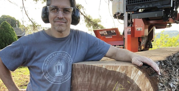 'Mammoth' timber sale coming up - Australian Wood Review