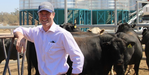 Stimulating a green change for the red meat industry - Food & Drink ...