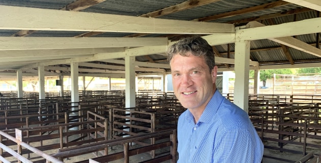 Rabobank: Australian Beef Seasonal Outlook 2023 - Food & Drink Business