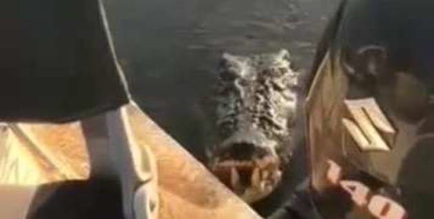 Large Crocodile Lunges and Bites at Fishing Boat - Sporting Shooter