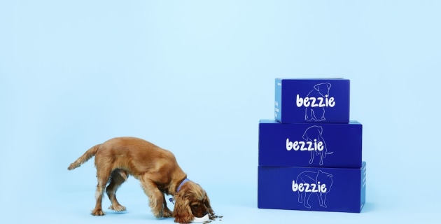 Marley Spoon launches dogs’ new Bezzie - Food & Drink Business