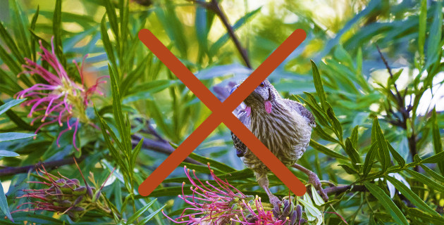 Video: Six signs you are over-processing your images - Australian ...