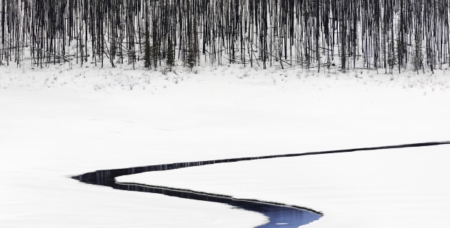 Profile: Aaron Dowling - Australian Photography