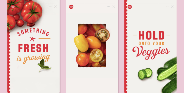 Perfection Fresh refreshes packaging portfolio - Food & Drink Business