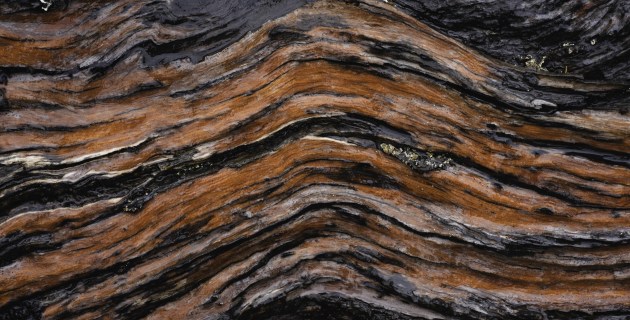 How to photograph Australia's bush (Part two) - Australian Photography