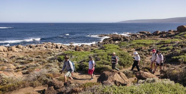 Tour operator of the week: Cape to Cape Explorer Tours - Great Walks